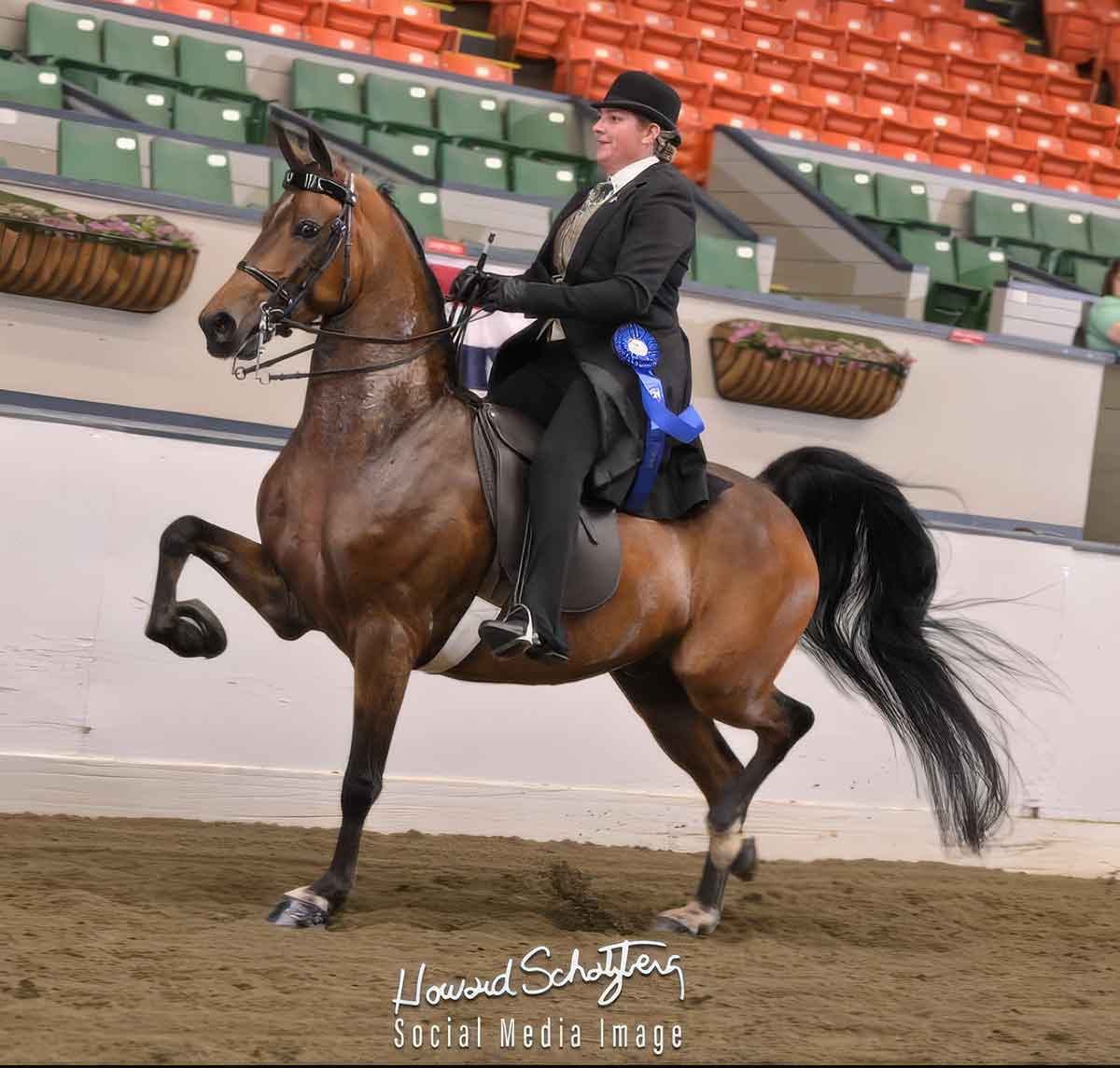 listing | MorganShowcase