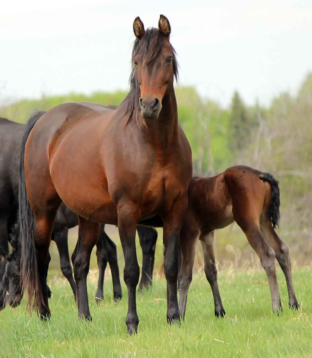 listing | MorganShowcase