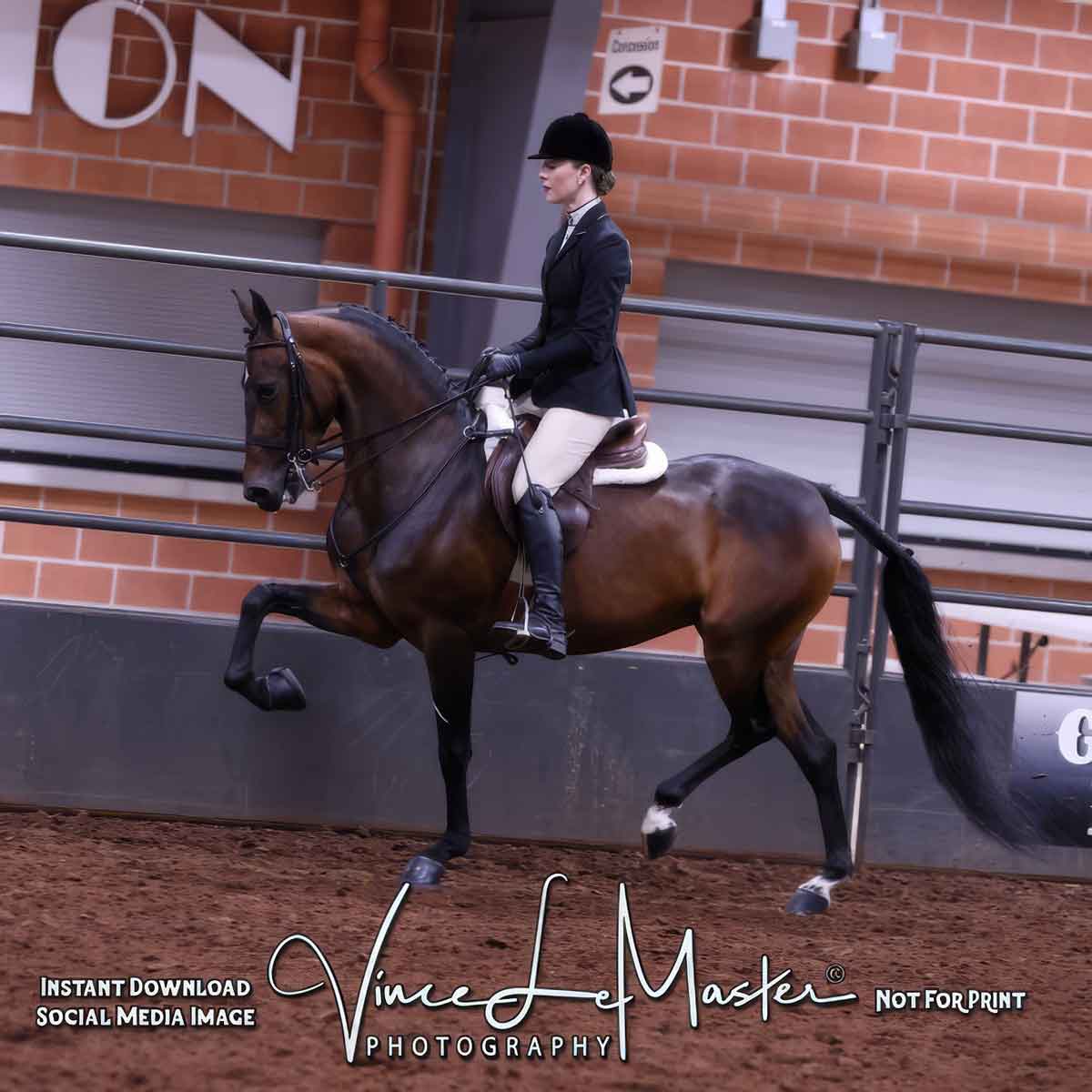 listing | MorganShowcase