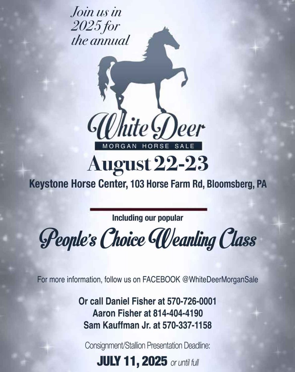 Consignments Now Accepted for the 2025 White Deer Morgan Sale ...